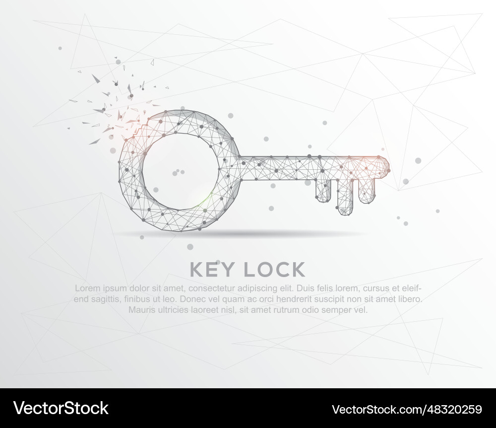 Key lock abstract mash line and composition Vector Image