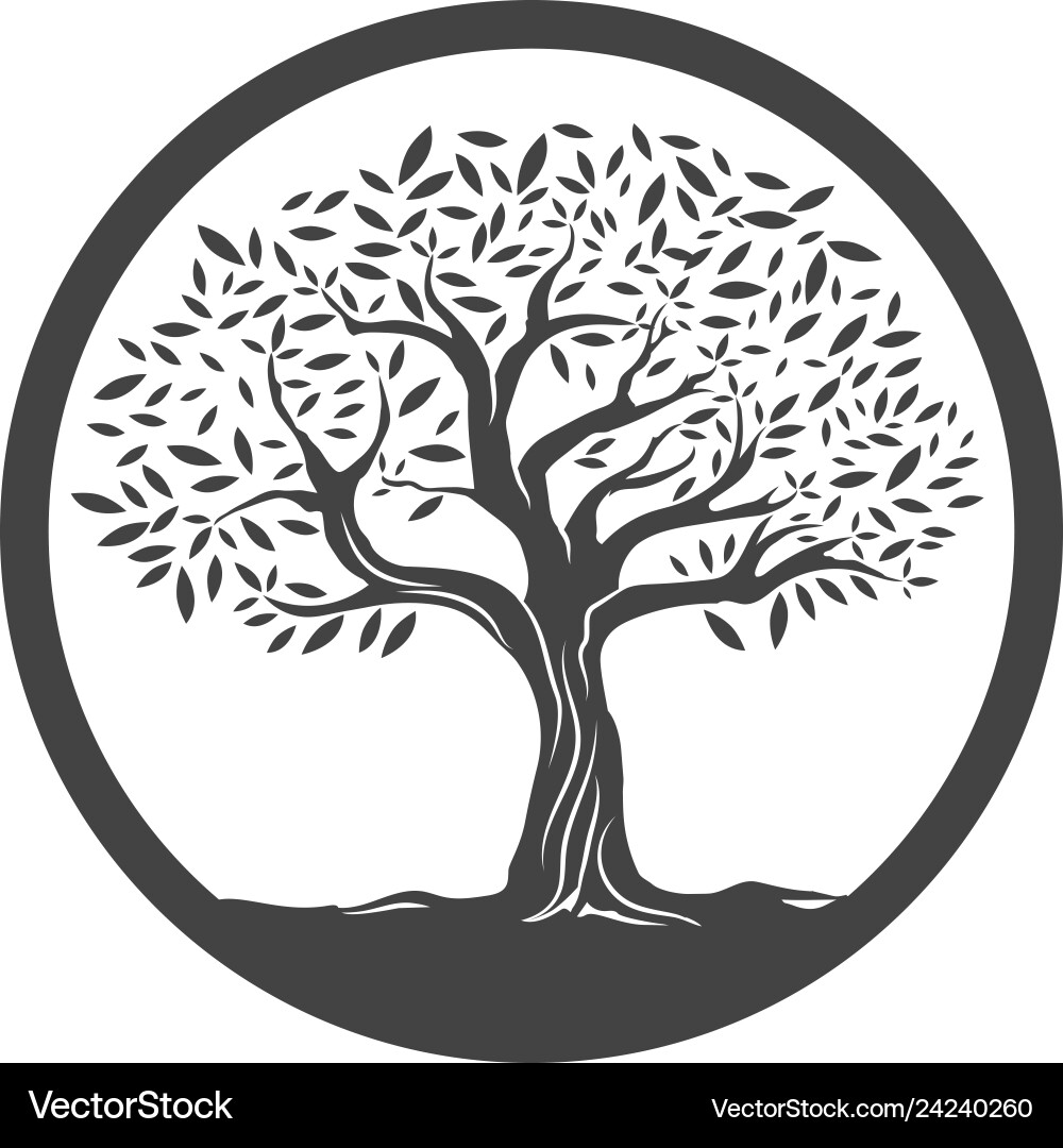 Olive tree Royalty Free Vector Image - VectorStock