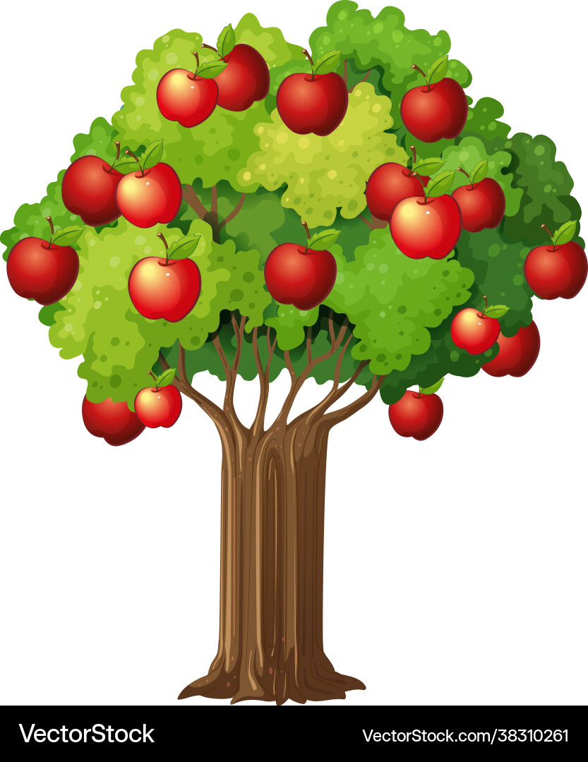 Apple tree isolated on white background Royalty Free Vector