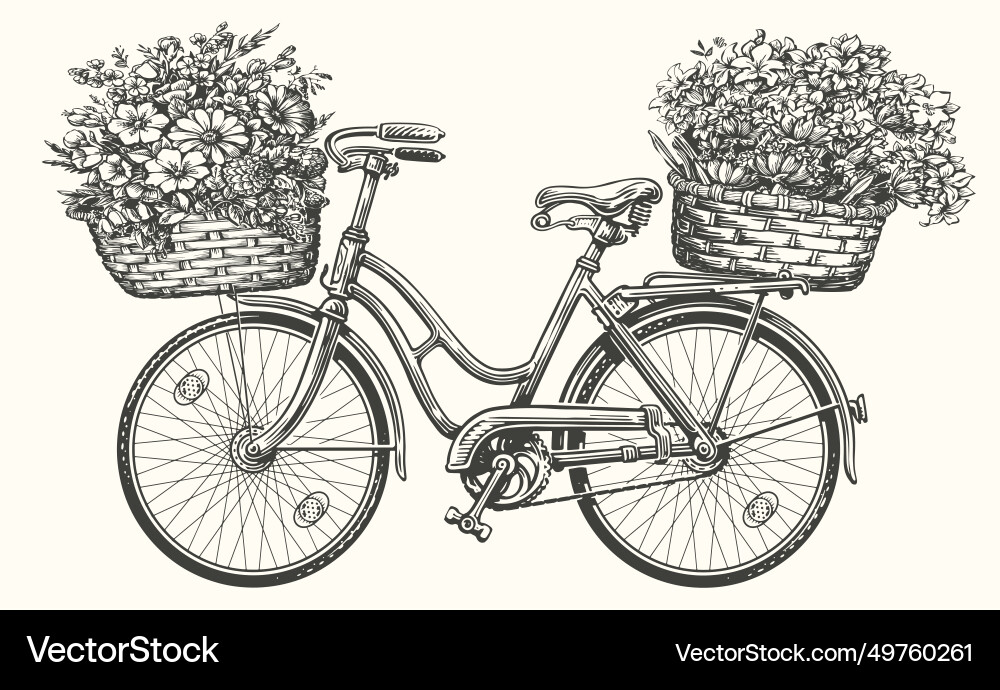Hand drawn retro bicycle with spring flowers Vector Image