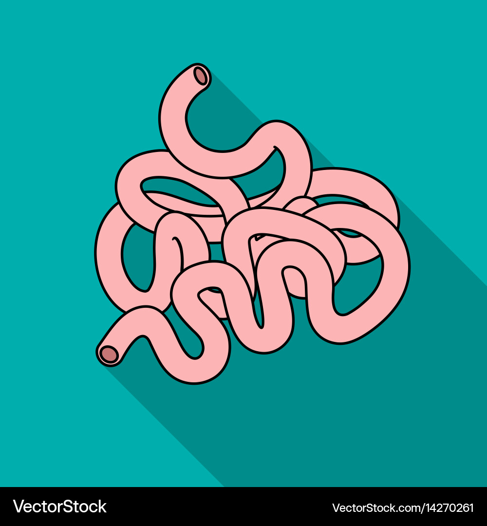 Human small intestine icon in flat style isolated Vector Image