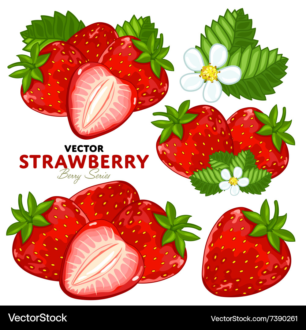 Strawberry set Royalty Free Vector Image - VectorStock