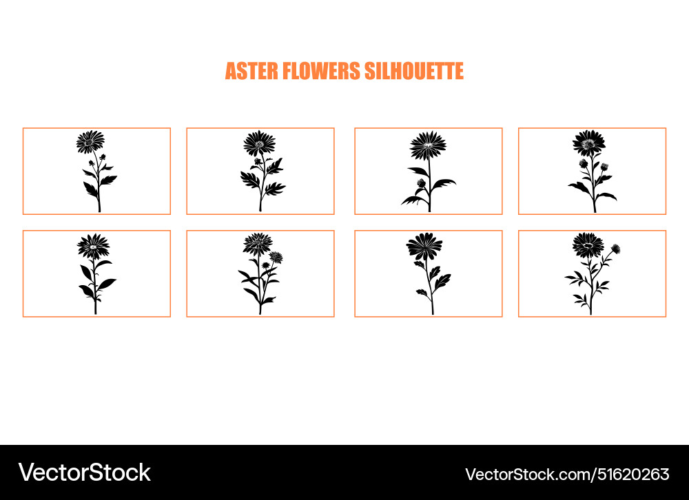 Beste aster blume ikone set silhouette Lizenzfreier Vektor