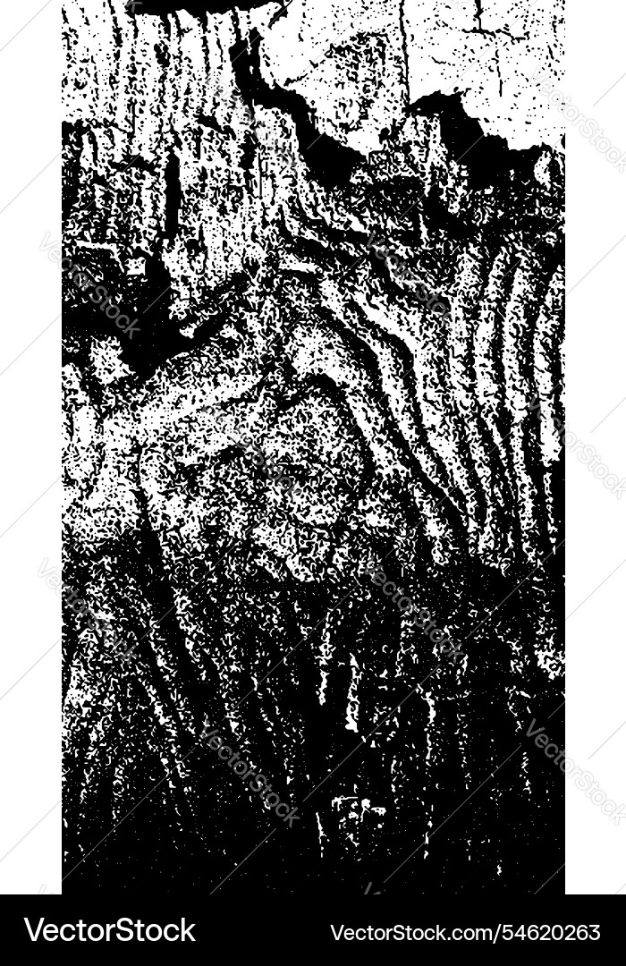 Black tree bark texture on a white Royalty Free Vector Image