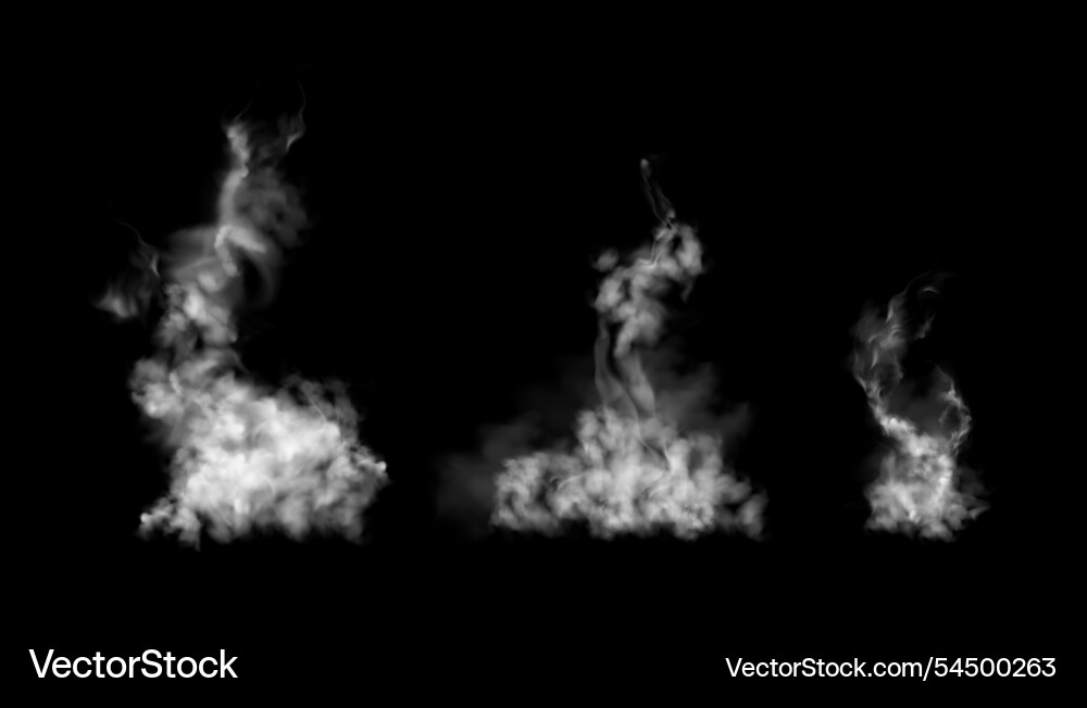 Smoke and Steam Particles Royalty Free Vector Image