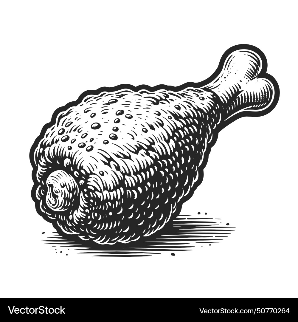 Fried chicken drumstick leg sketch Royalty Free Vector Image