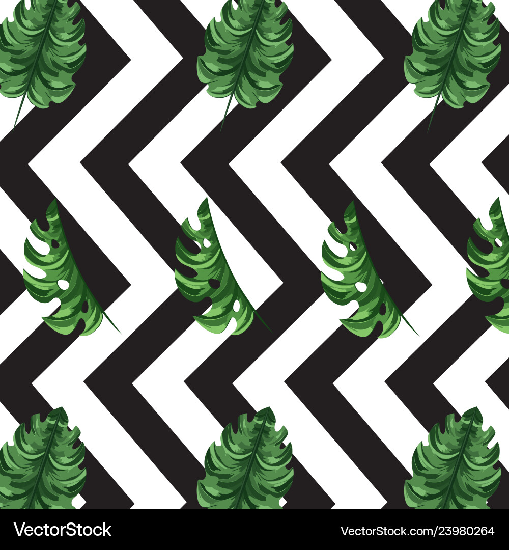 Nature leafs cartoon Royalty Free Vector Image