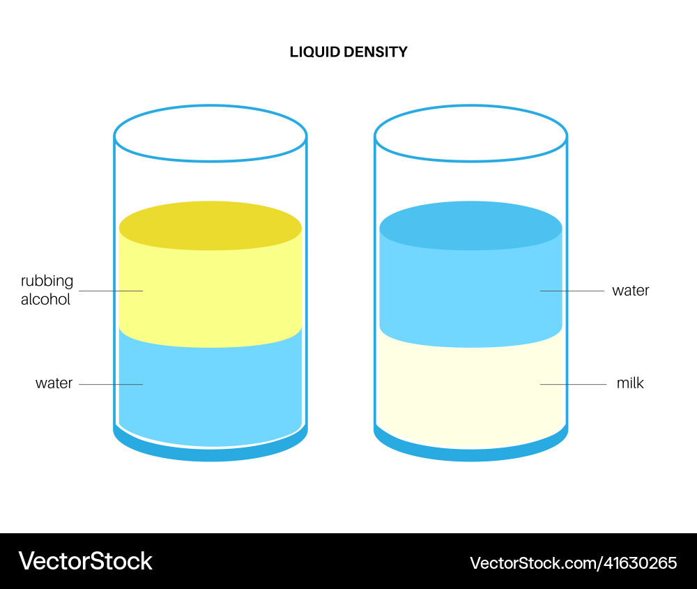 Liquid Density Column Experiment – Royalty-Free Vector | VectorStock