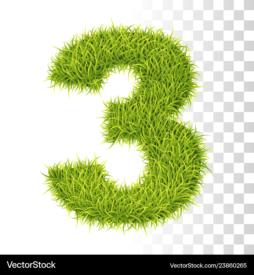 Number three Royalty Free Vector Image - VectorStock