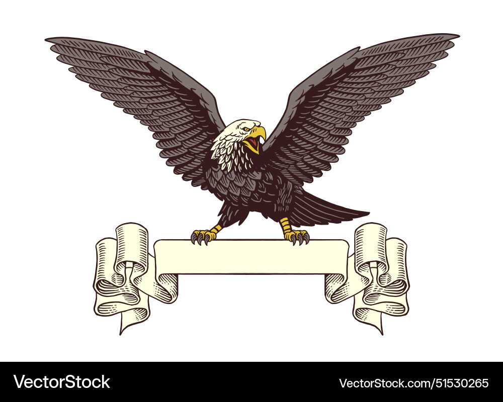 Vintage hand drawn of angry bald eagle perched Vector Image