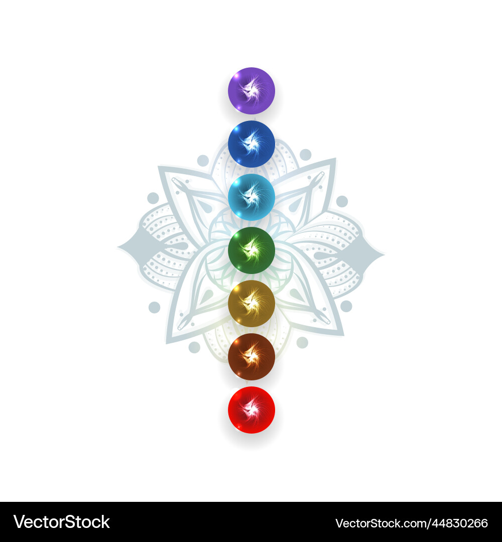 Concept aura and chakras Royalty Free Vector Image