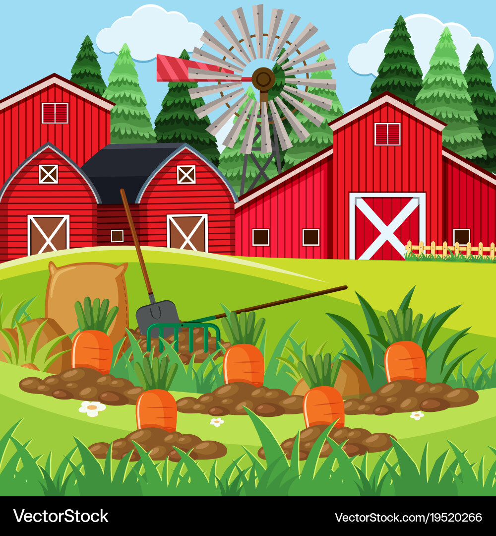 Farm scene with carrot garden Royalty Free Vector Image