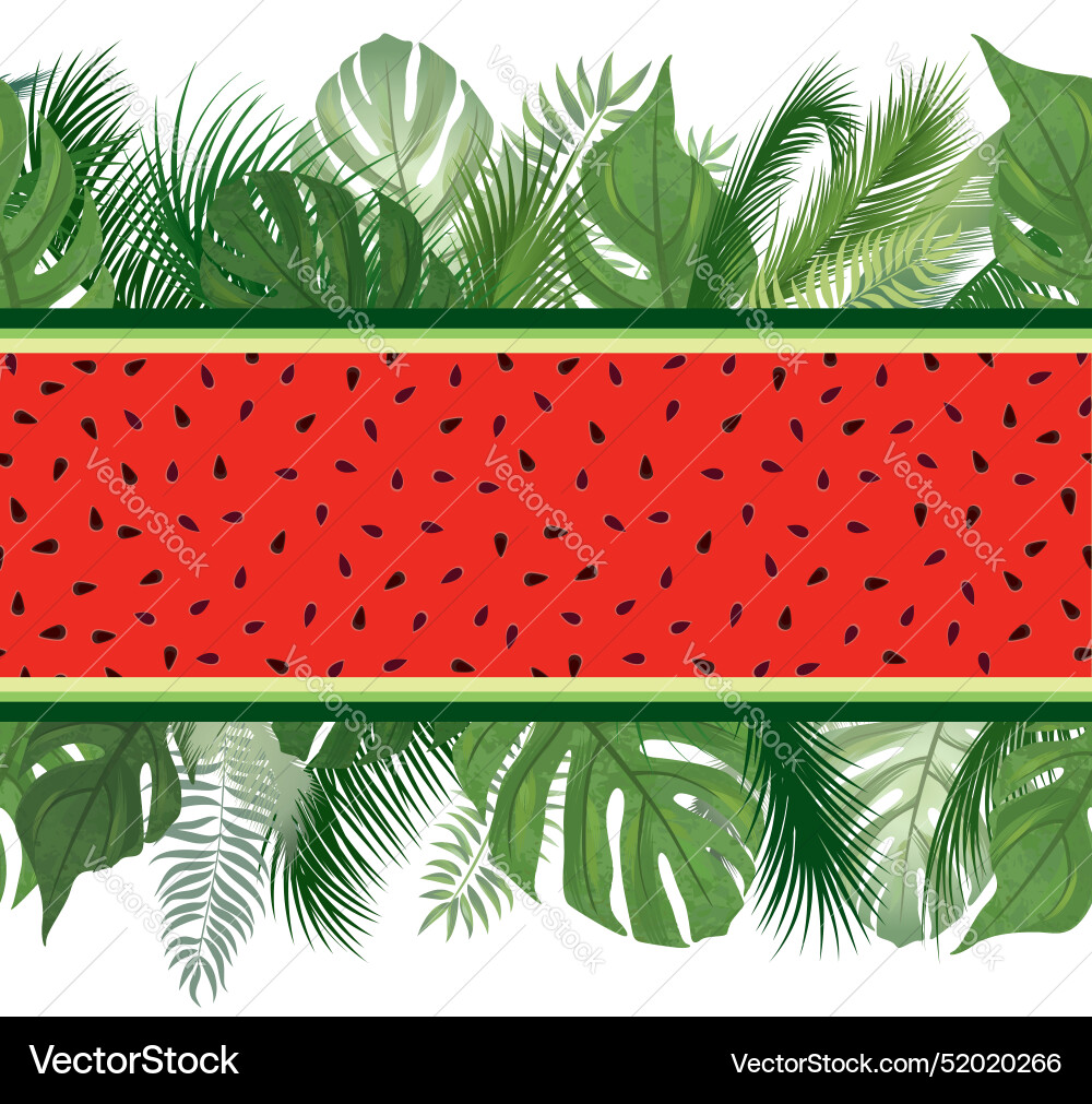 Tropical fruit floral border summer holiday Vector Image