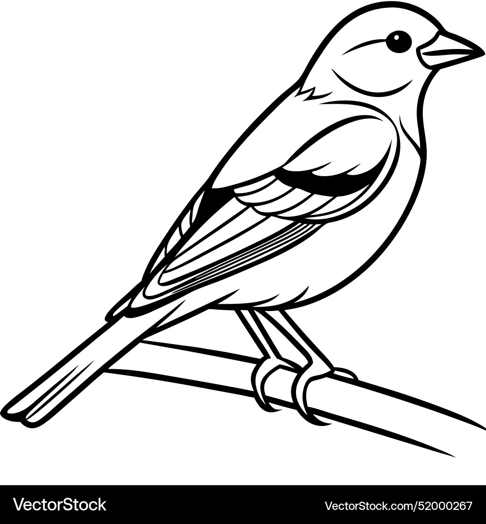 Chaffinch bird sits icon Royalty Free Vector Image