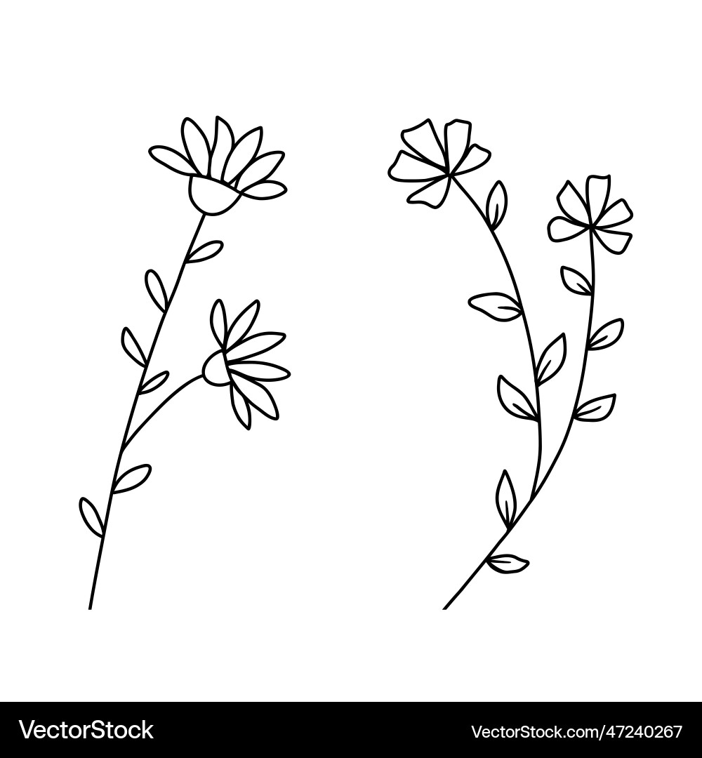 Hand drawn wildflowers set outline flower Vector Image