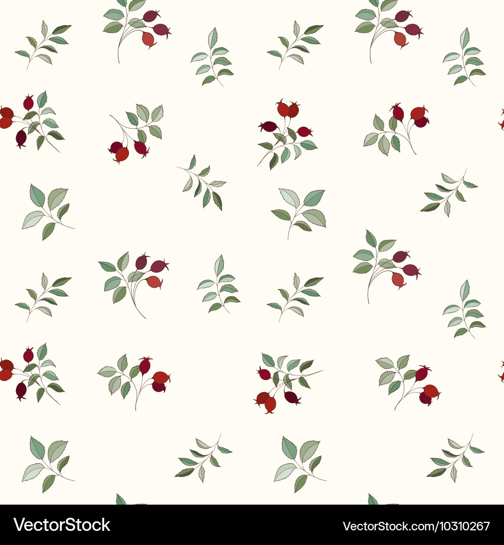 Hawthorn Berry Pattern Royalty Free Vector Image