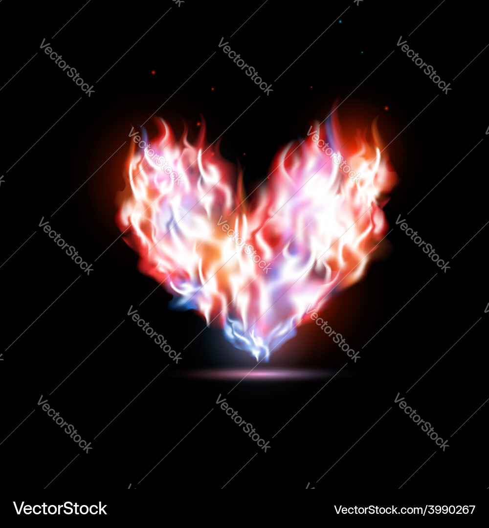 Human heart in flames Royalty Free Vector Image