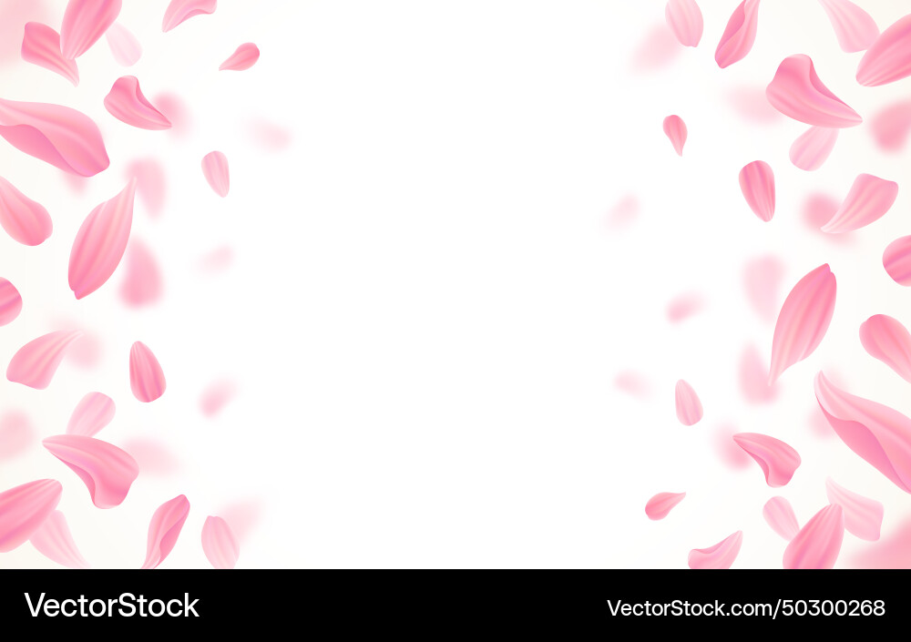 Background with pink petals Royalty Free Vector Image