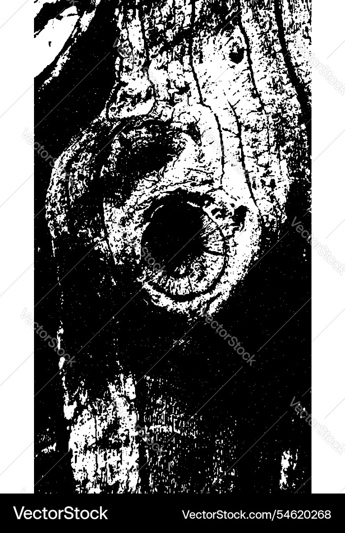 Black tree bark texture on a white Royalty Free Vector Image