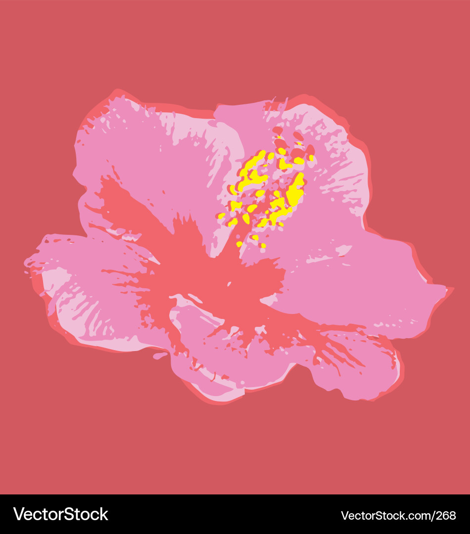 Hibiscus flower Royalty Free Vector Image - VectorStock