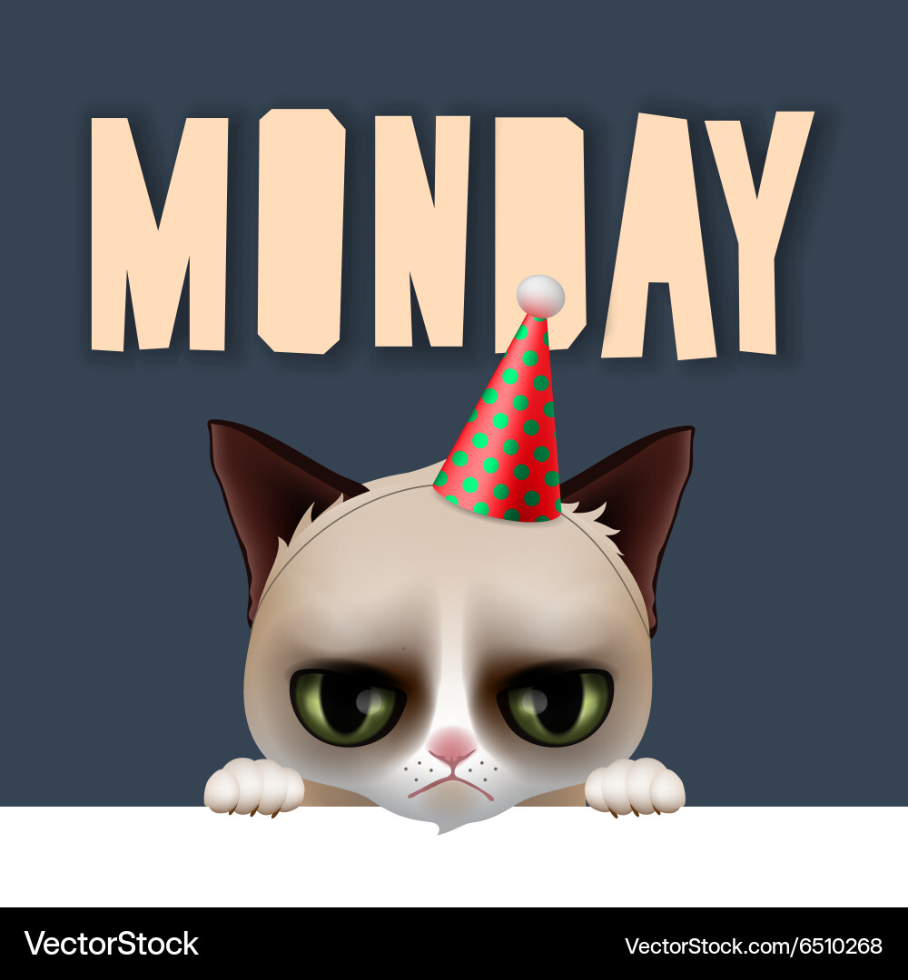 Happy Monday Grumpy Cat