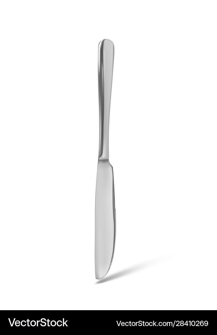 A kitchen knife Royalty Free Vector Image - VectorStock