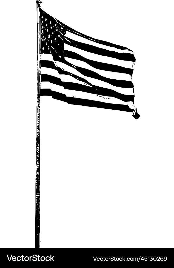 American flag flying sketch Royalty Free Vector Image