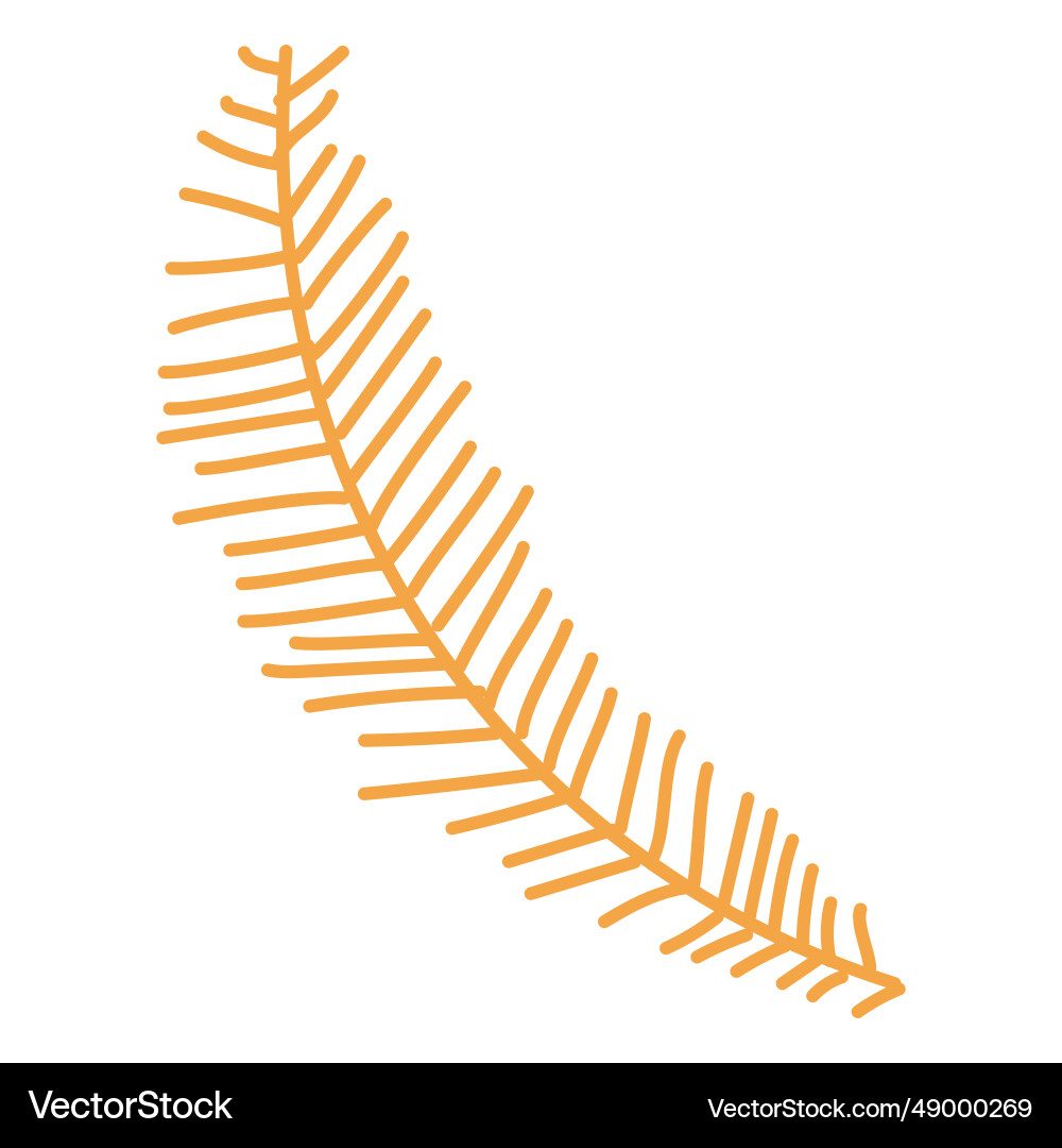Simple autumn conifer branch cartoon Royalty Free Vector