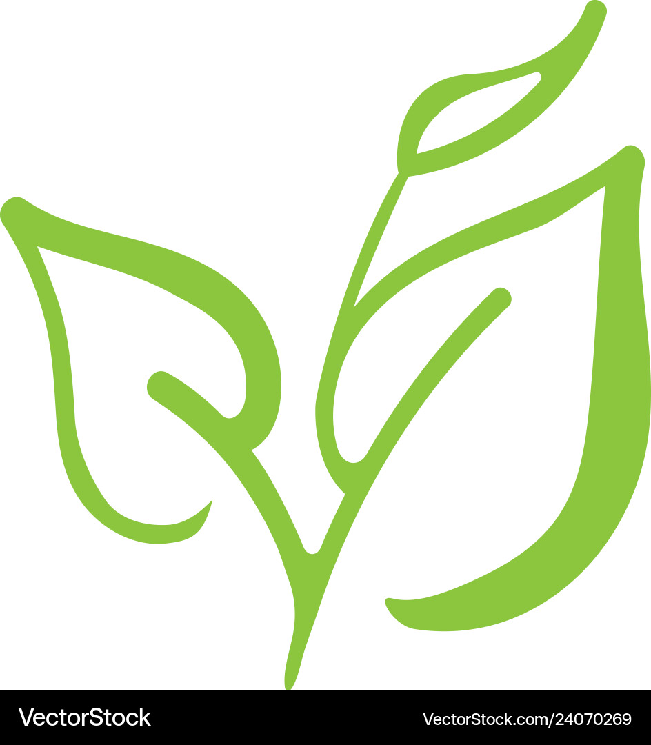 Tea Leaf Line Art Logo Royalty Free Vector Image