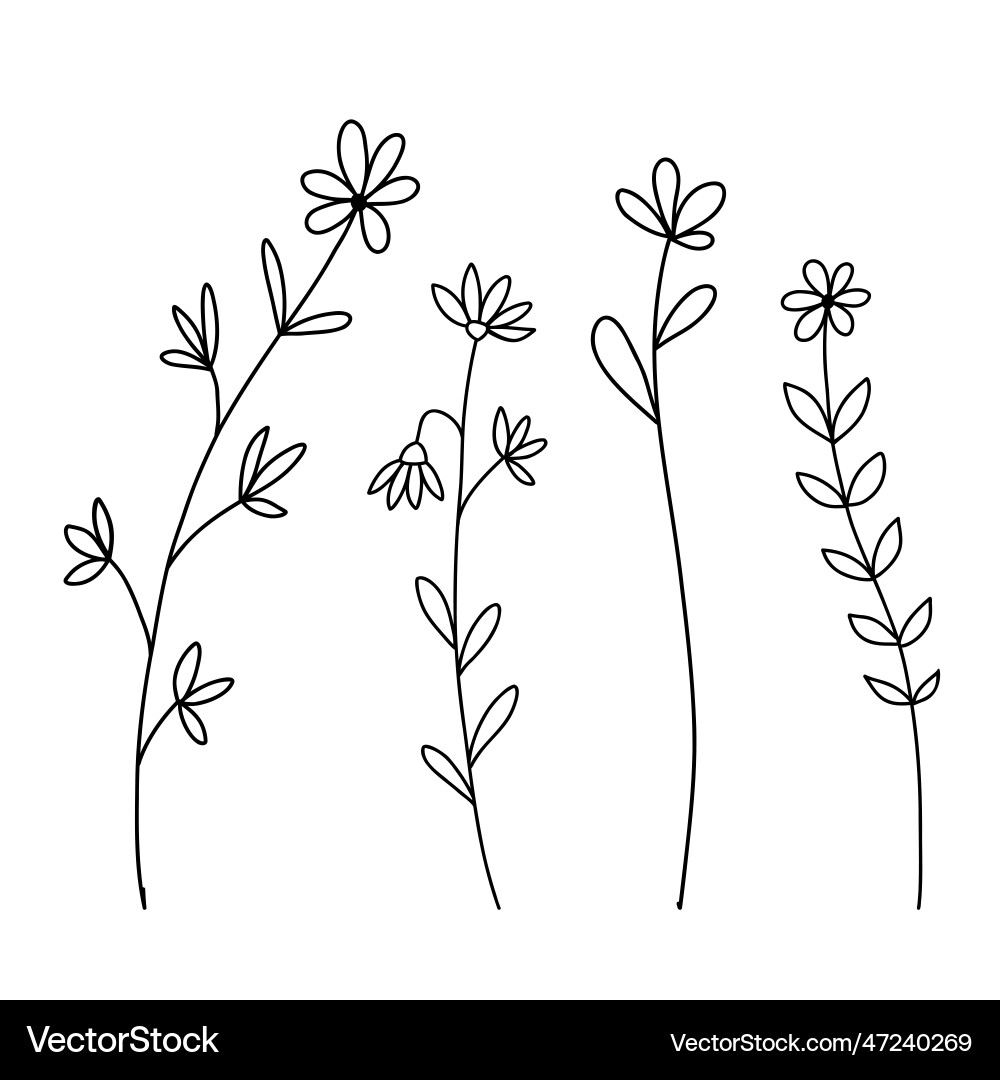 Wildflower Outline Sketch Royalty Free Vector Image