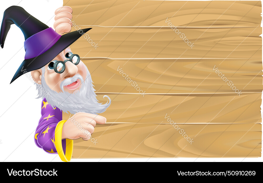 Wizard pointing at wood sign Royalty Free Vector Image