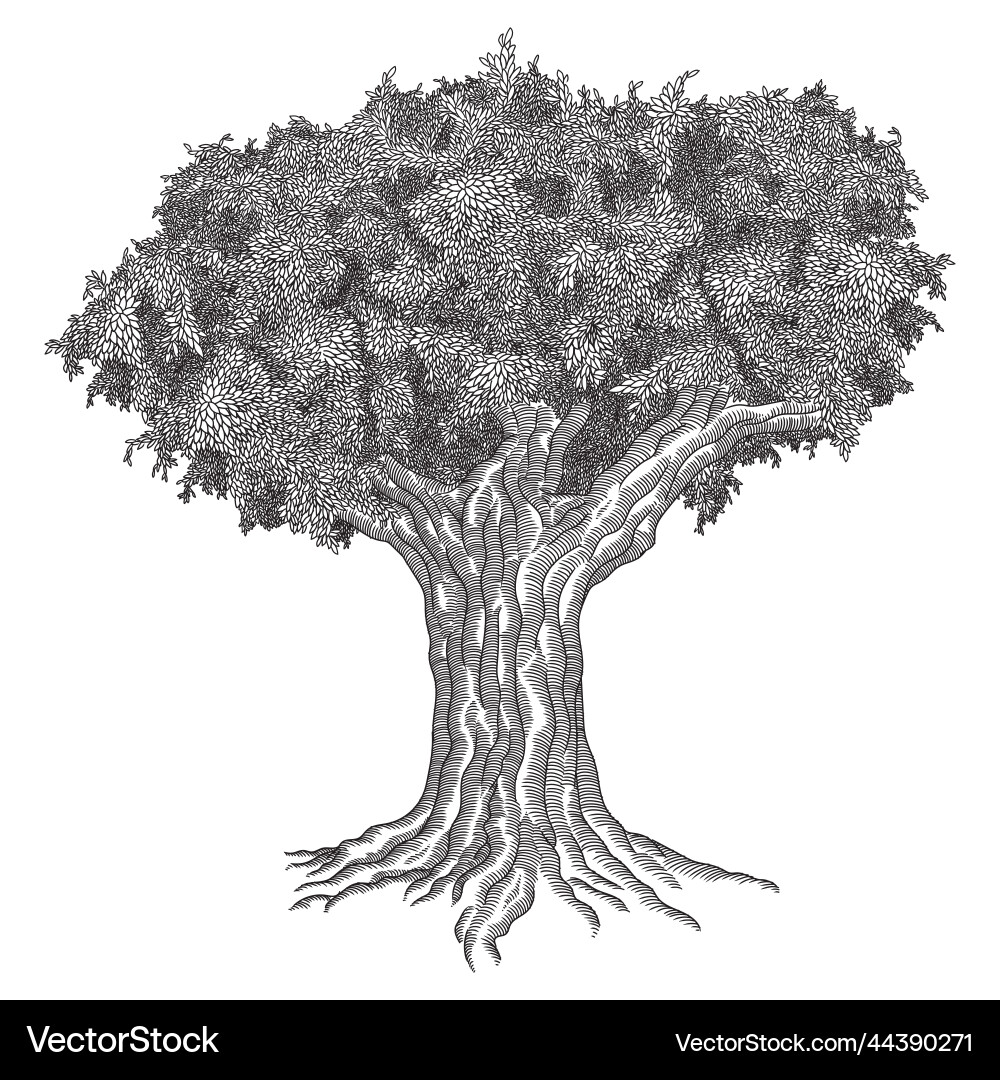 Big tree with leaves Royalty Free Vector Image