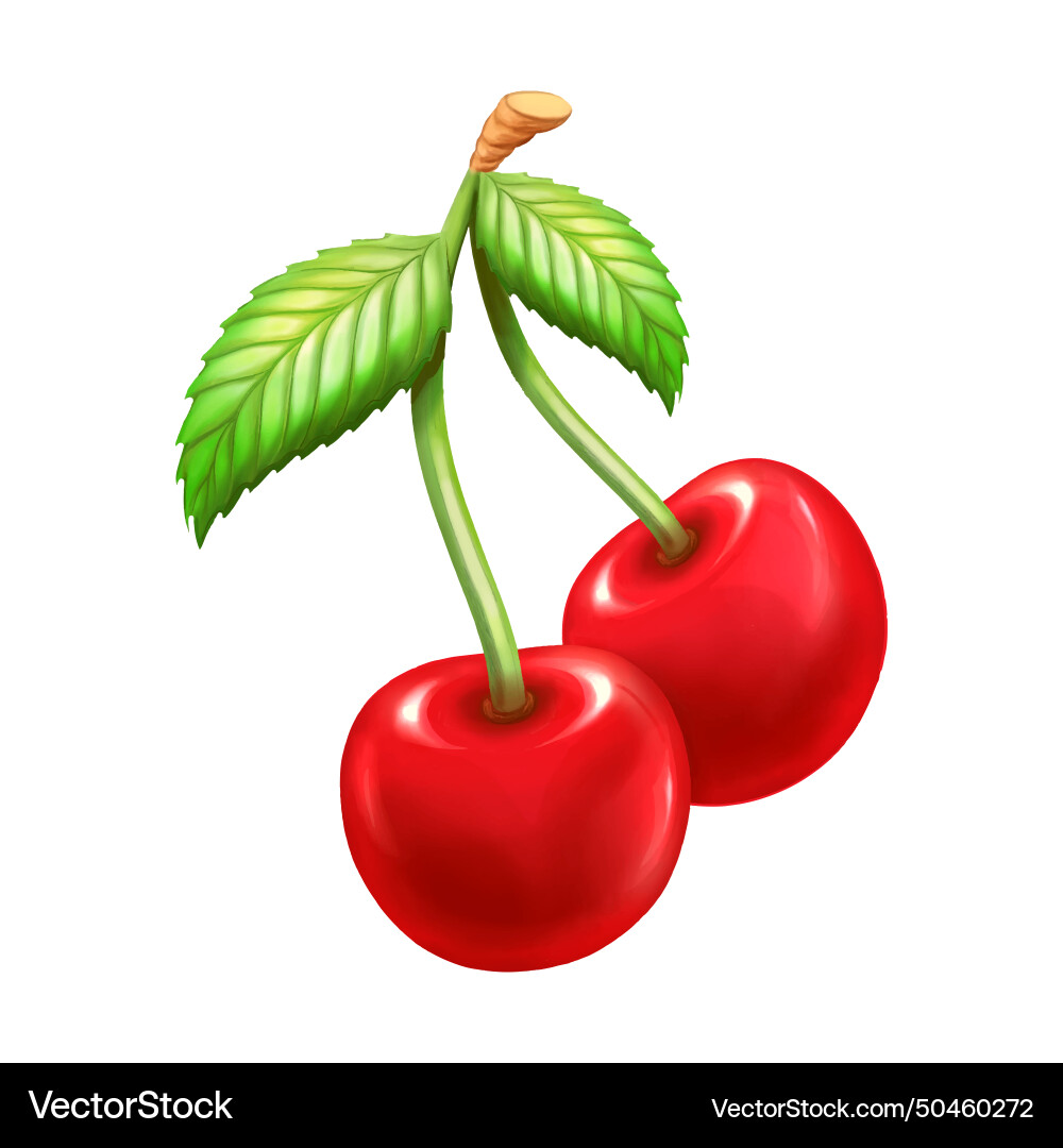 Cherry icon isolated on white background tracing Vector Image