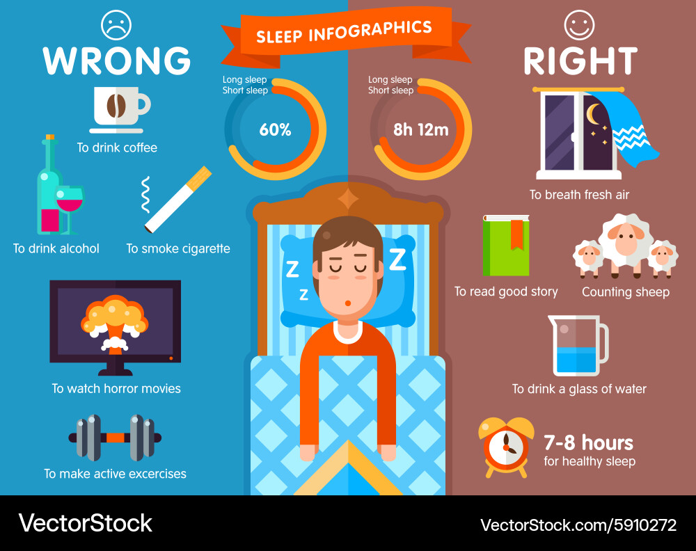 Sleep infographic Royalty Free Vector Image - VectorStock