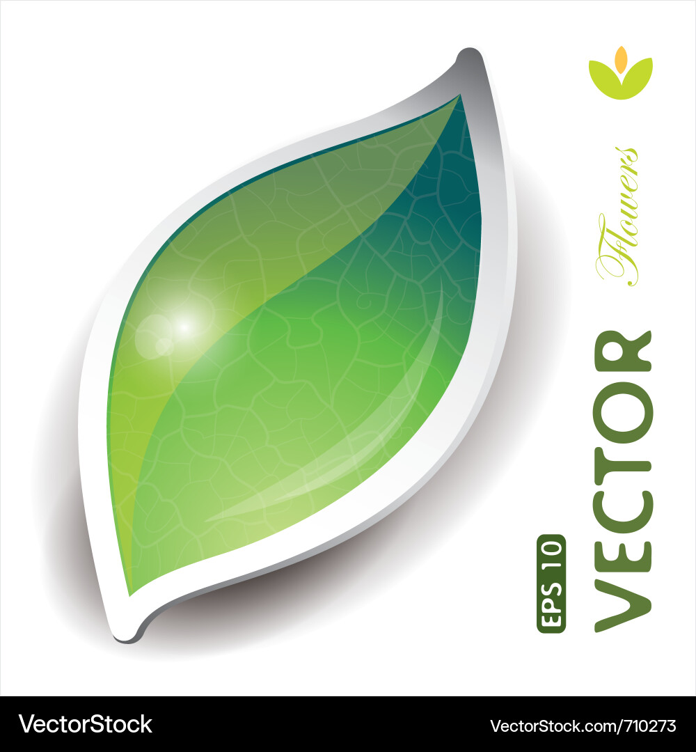 Green leaves design Royalty Free Vector Image - VectorStock