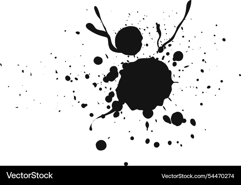 Black ink splatters artistically on a white Vector Image