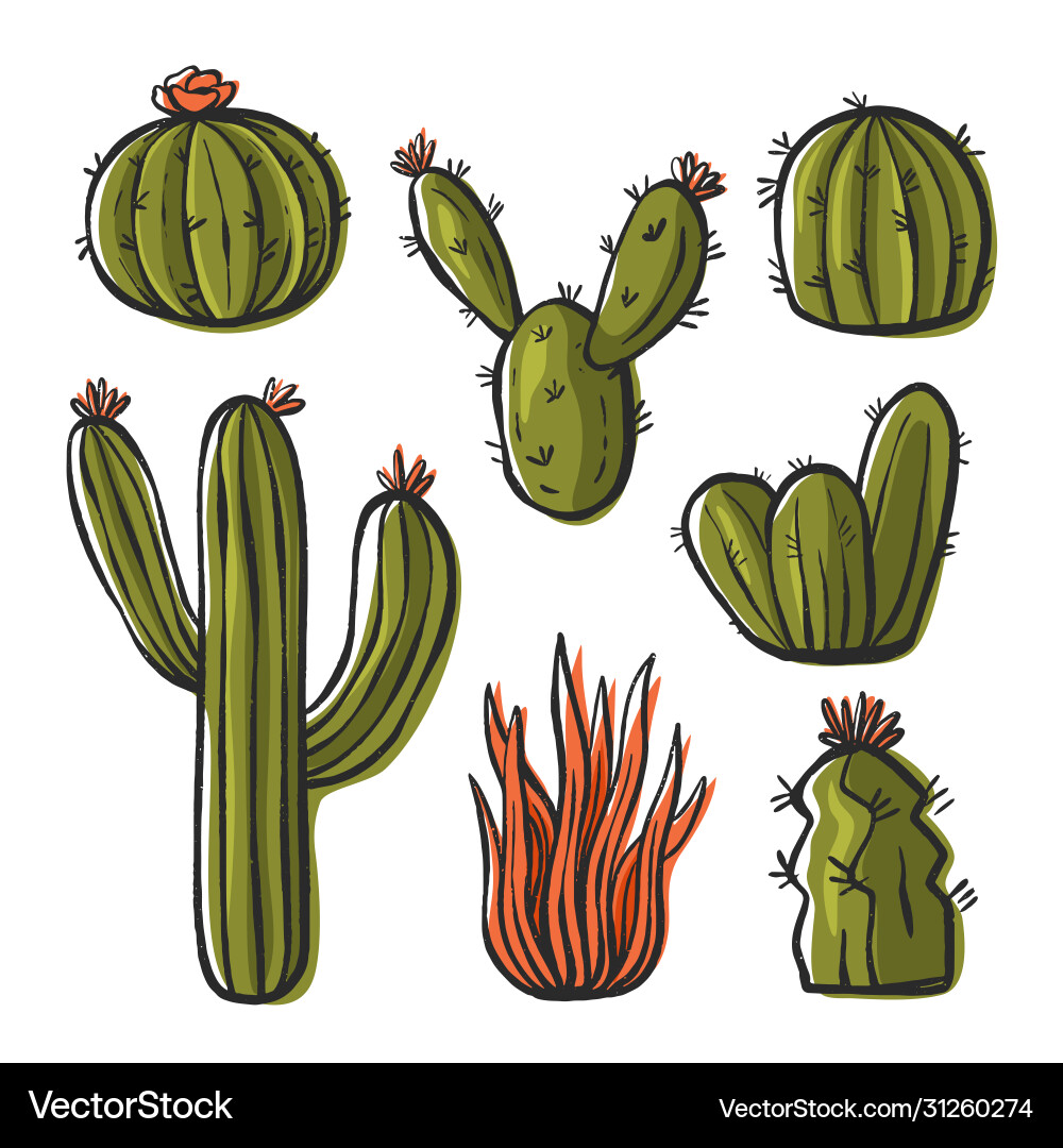 Cactus set Royalty Free Vector Image - VectorStock