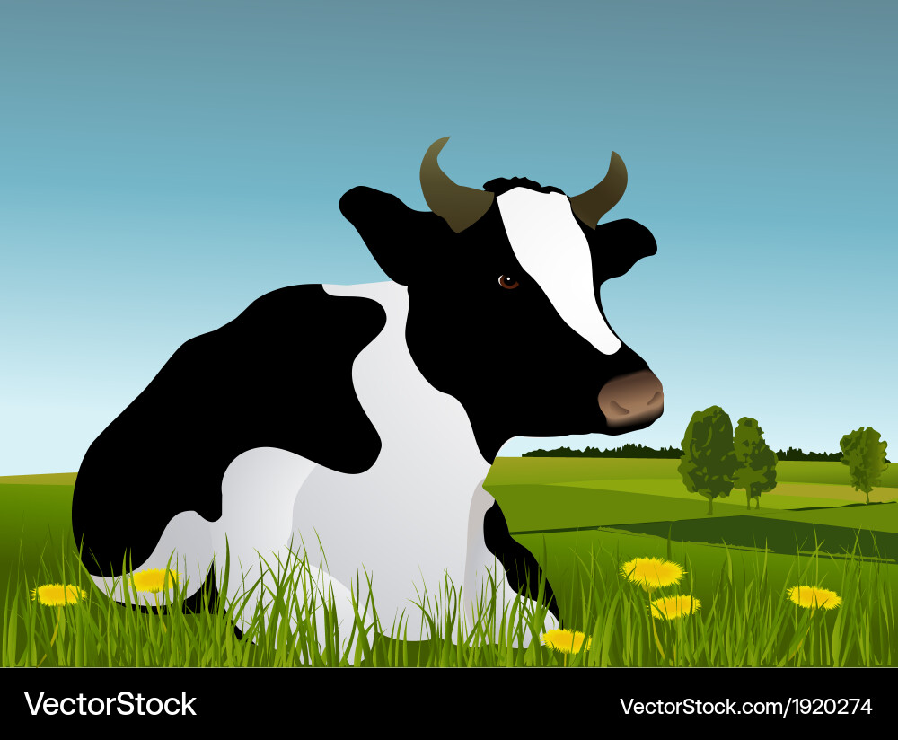 Cow Royalty Free Vector Image - VectorStock