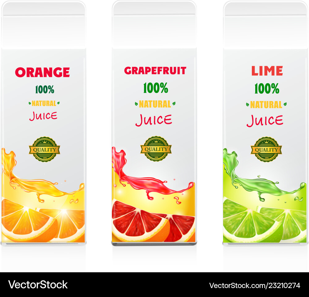Juice citrus cardboard box package set Royalty Free Vector