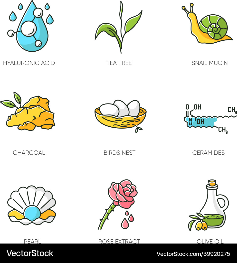 Cosmetic Ingredient Color Icons Royalty Free Vector Image