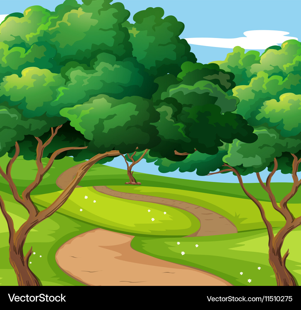 Park scene with trail and trees Royalty Free Vector Image