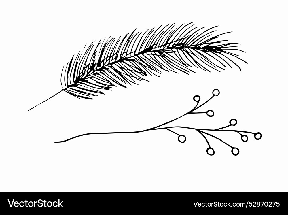 Spruce branch and berry branch doodle Royalty Free Vector