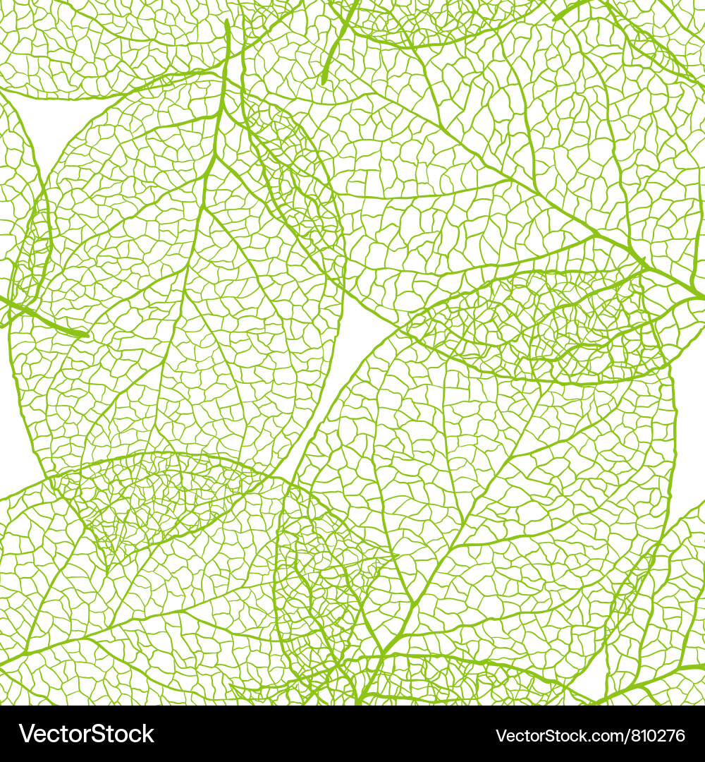 Fresh green leaves background Royalty Free Vector Image
