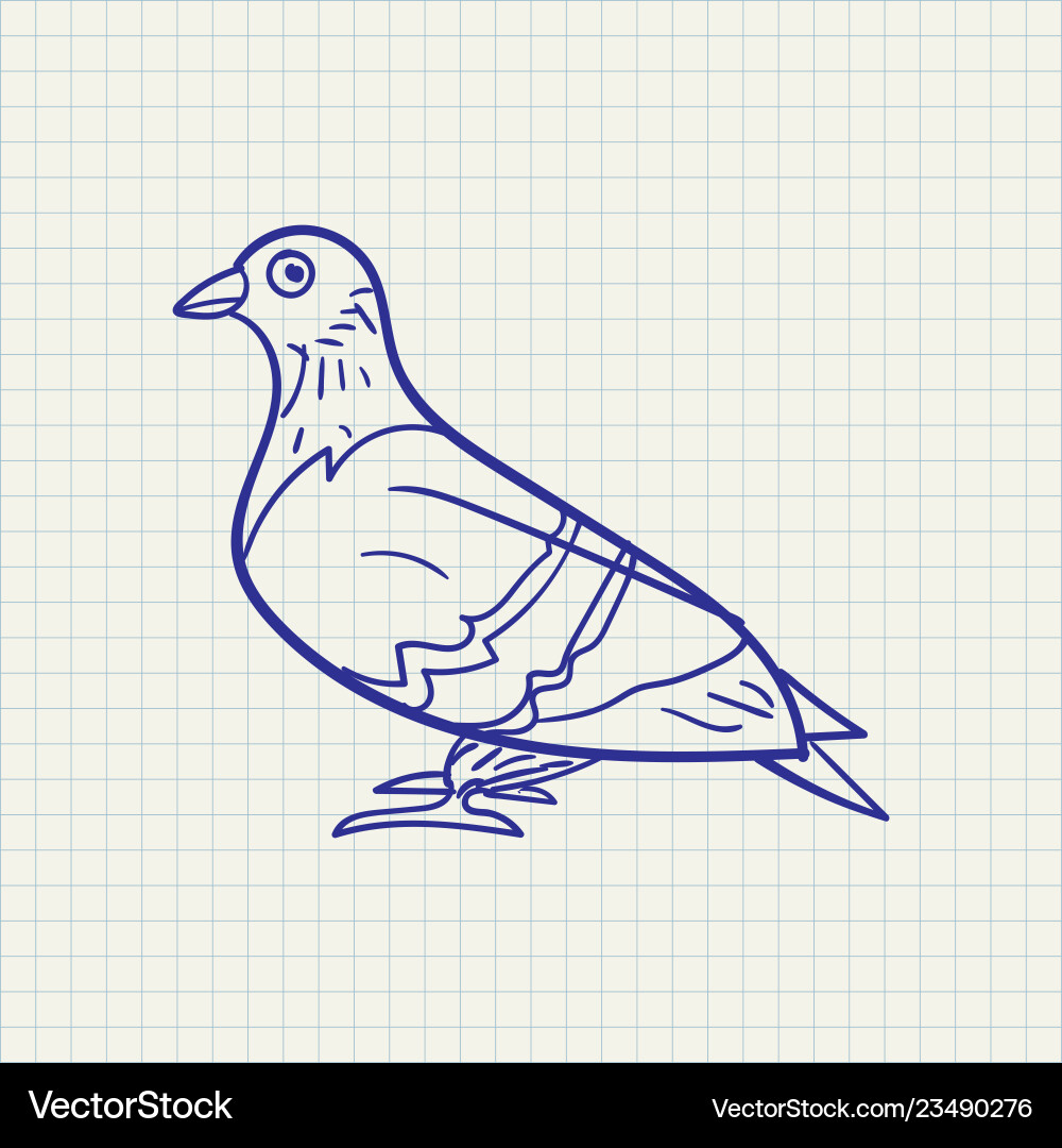 Simple of a pigeon Royalty Free Vector Image - VectorStock