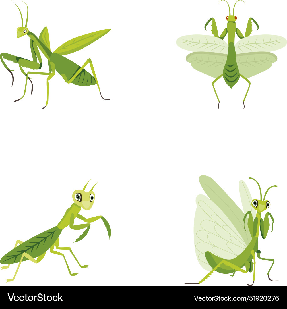 Webset of predator mantis flat icons Royalty Free Vector