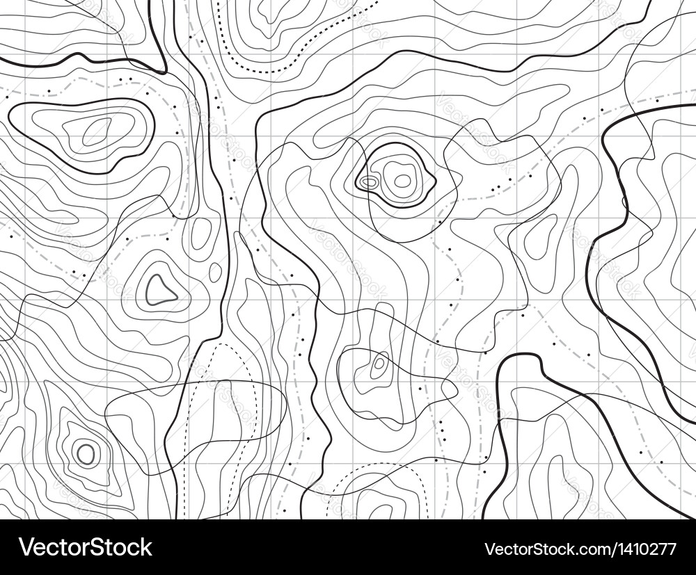Abstract Topographic Map Royalty Free Vector Image