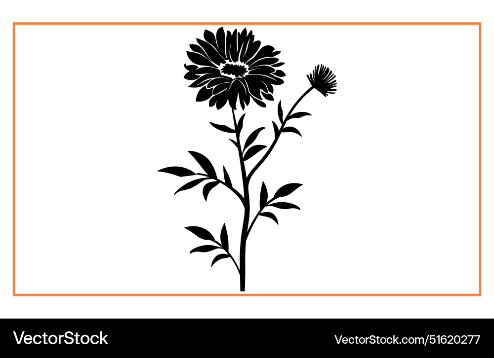 Best aster flower icon silhouette Royalty Free Vector Image