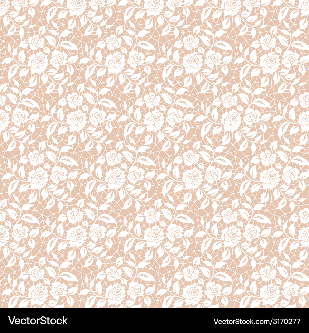 Floral lace pattern Royalty Free Vector Image - VectorStock