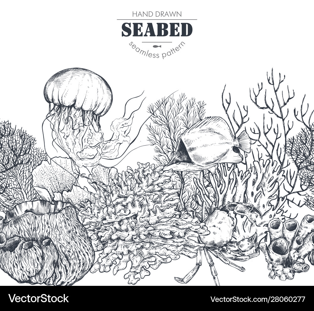 Monochrome seamless coral reef pattern Royalty Free Vector