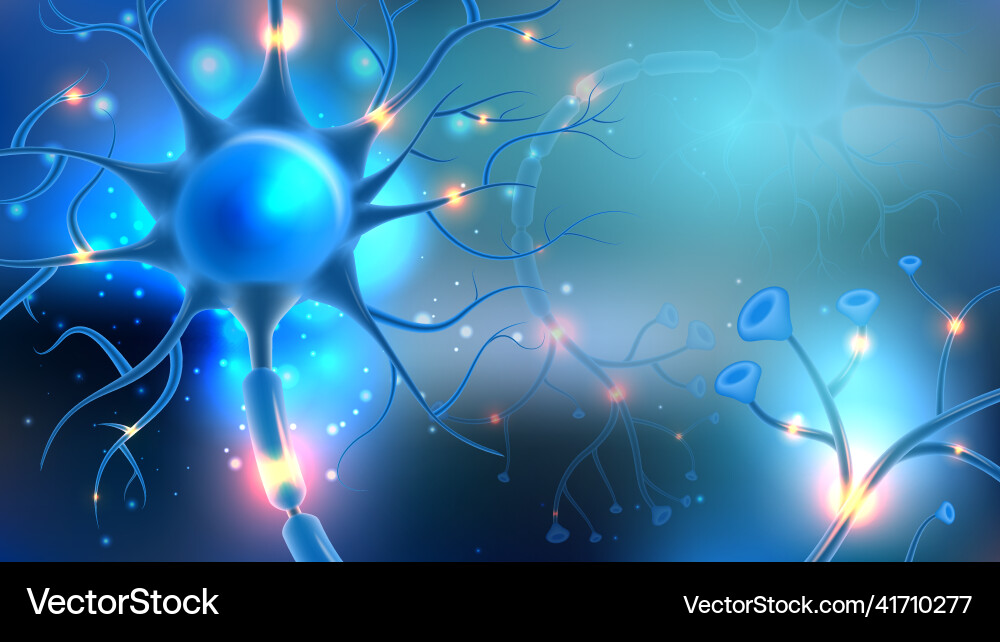 Realistic neuron background Royalty Free Vector Image